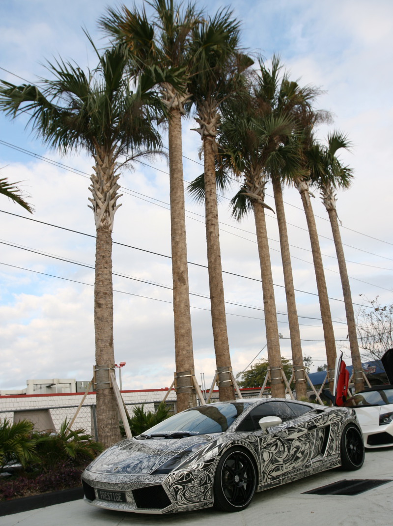 sharpie_lamborghini_gallardo_profilejpg : Automotive Addicts